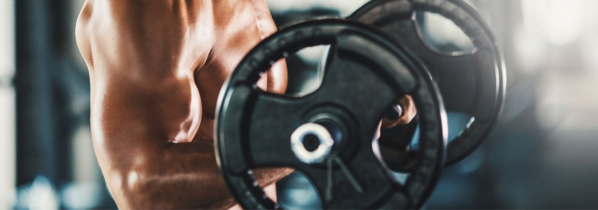 Bulking Up: The Science Behind Weight Gainers and Muscle Growth ...