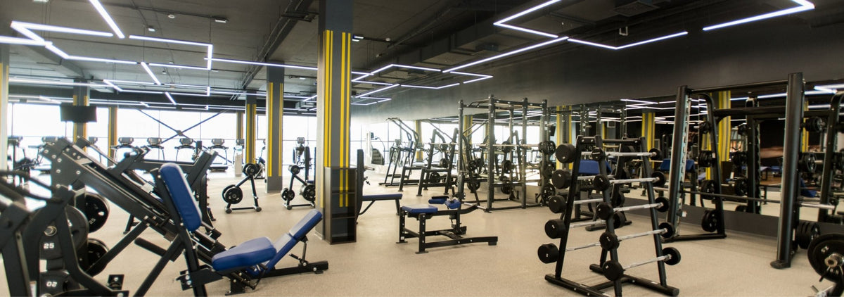 Mastering the Gym: Avoiding the 5 Pitfalls of Novice Fitness ...