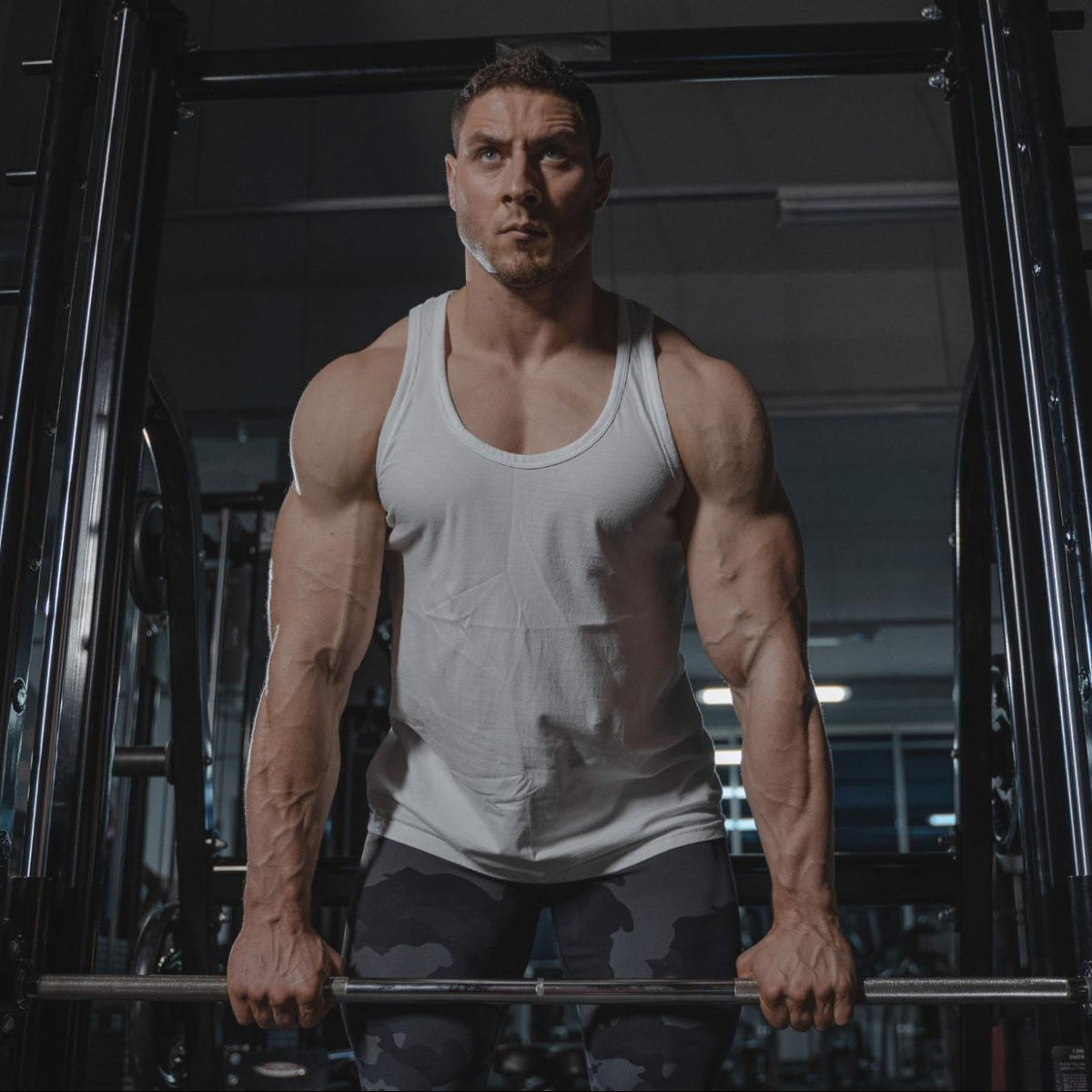 Everything You Need to Know About Weight Gainers | Ultimate Nutrition